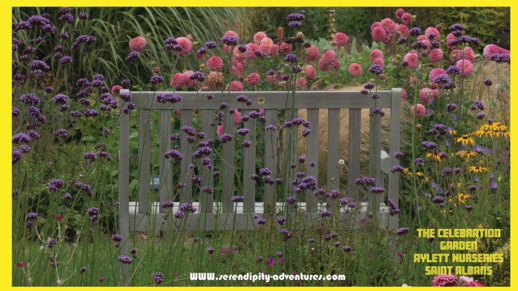 The Celebration Garden,Aylett Nurseries,Saint Albans - My Wanderlust ...